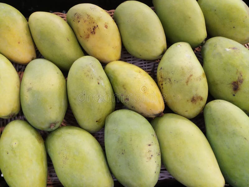 Kaew mango stock image. Image of call, thailand, breed - 114914649