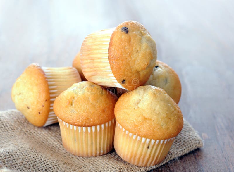 Some mini muffin stock photo. Image of cake, muffin, snack - 44205046