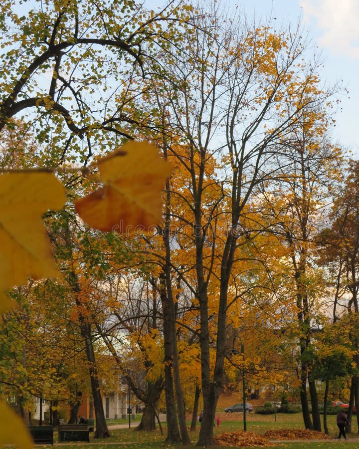 Some nice photos of nature stock image. Image of nicd - 164152509