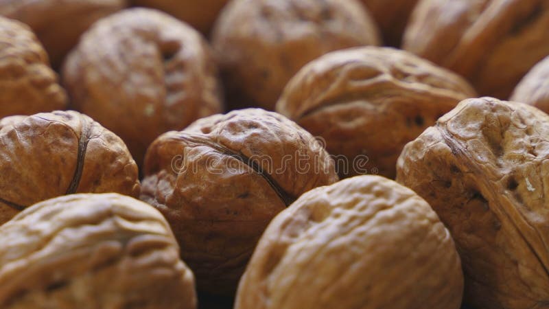 Some nuts stock photo. Image of mounsaturated, food - 178461014