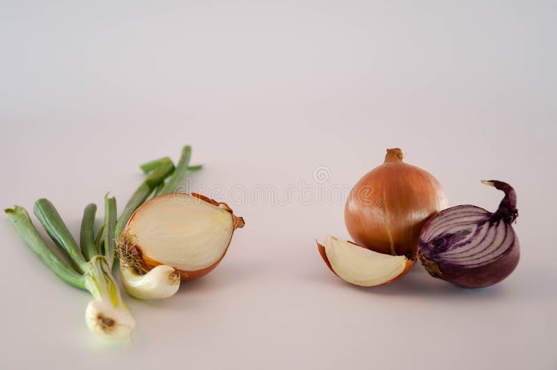 Some onions assorted stock photo. Image of copy, medium - 147733850