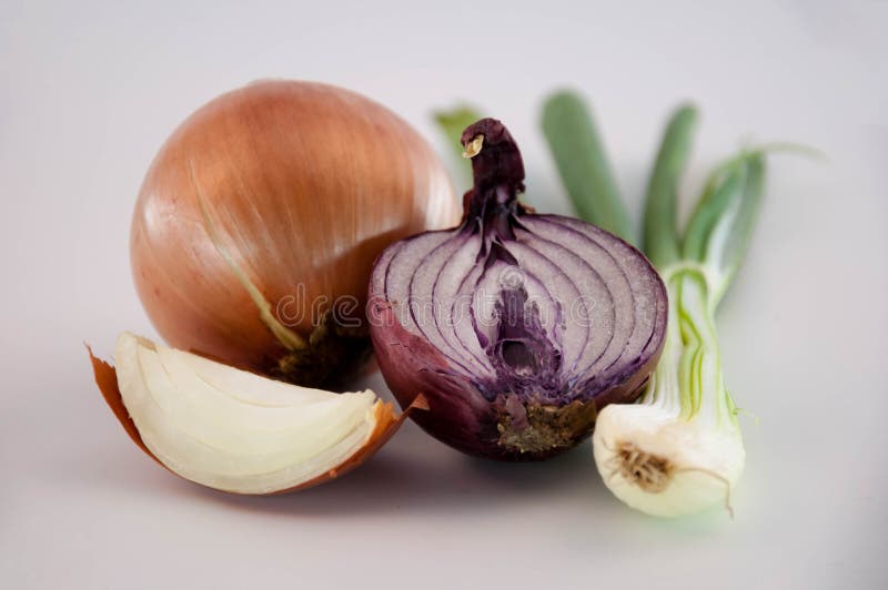 Some onions assorted stock image. Image of eating, juicy - 147734343