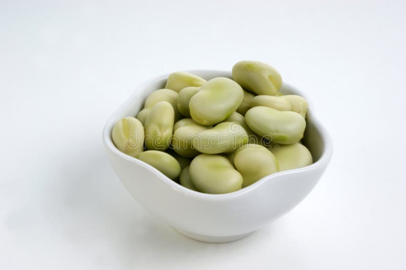 Some organic broad beans stock photo. Image of eating - 11833804