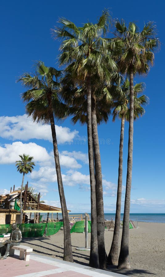 Some Palm Trees and a Beach House in the Background Editorial Photo ...