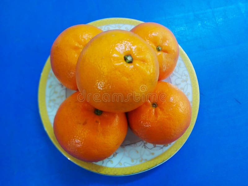 Some ranges on half plate. stock image. Image of gourd - 240077199