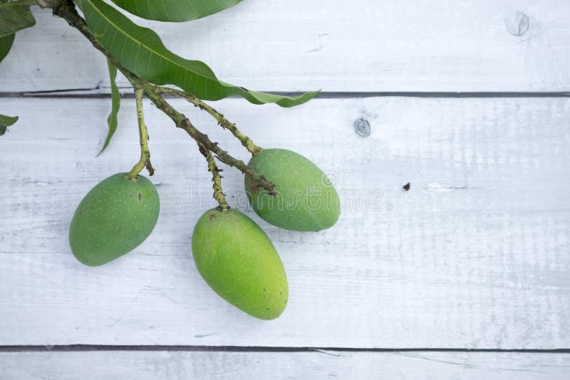 Some Raw Mango or Kaccha Aam in a Wooden Table Stock Image - Image of ...