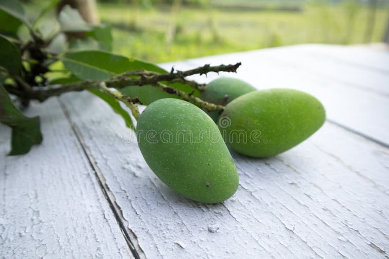 Some Raw Mango or Kaccha Aam in a Wooden Table Stock Photo - Image of ...