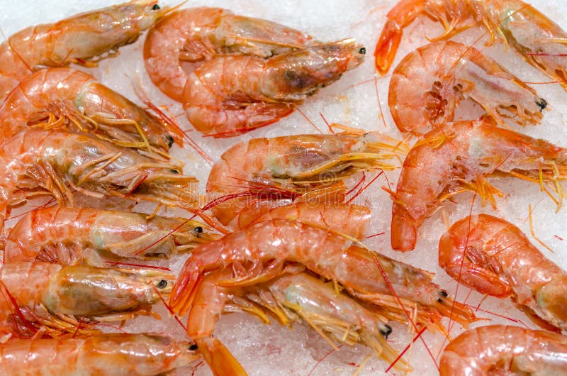 Some Raw Red Prawns on Crushed Ice Stock Image - Image of group ...