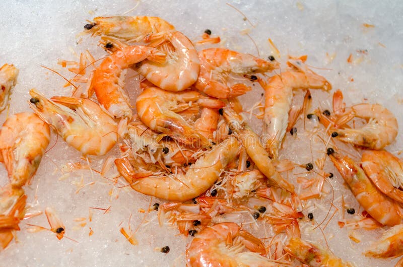 Some Raw Red Prawns on Crushed Ice Stock Photo - Image of shellfish ...