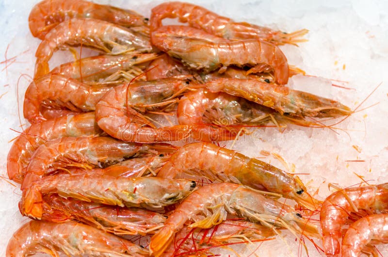 Some Raw Red Prawns on Crushed Ice Stock Photo - Image of food ...