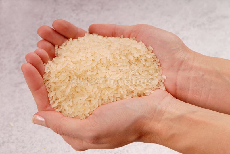 Some Raw Rice is on Female Hands Stock Image - Image of health, dietary ...