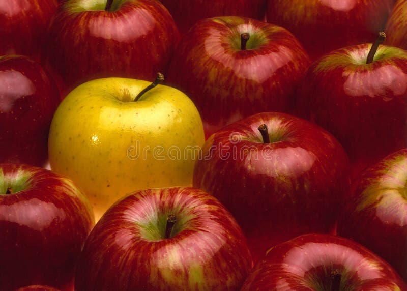 Red and yellow apples stock image. Image of fruit, concept - 141084589