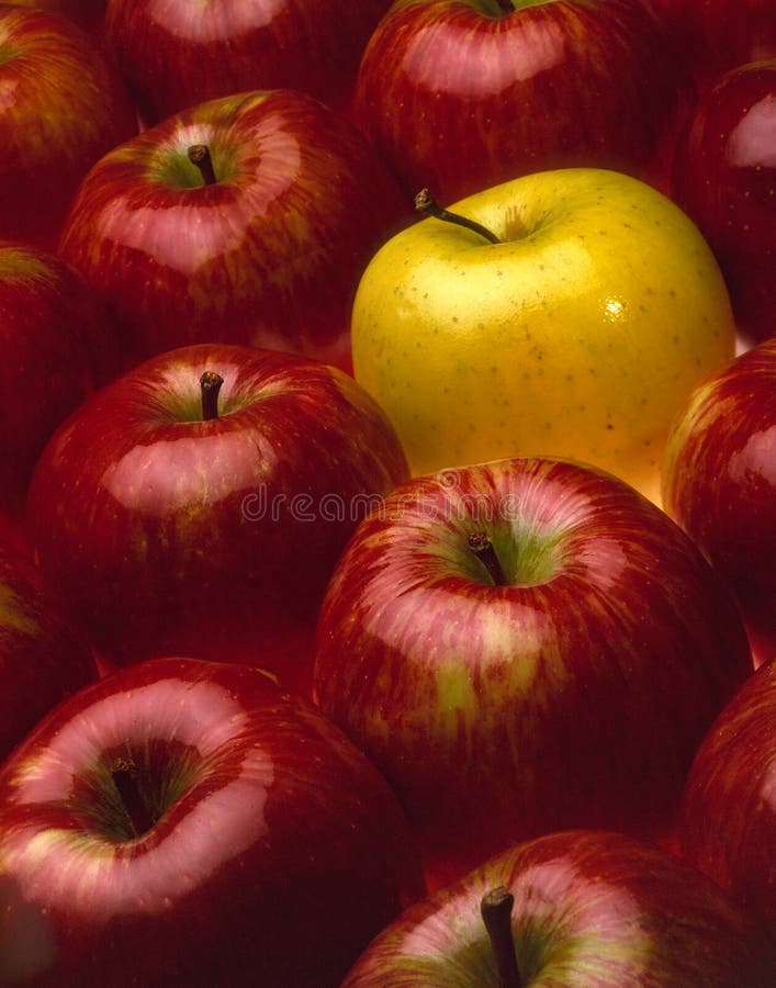 Red and yellow apples stock image. Image of singularity - 141084663