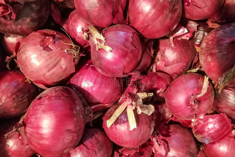 Some red onions stock photo. Image of cooking, onion - 185025006