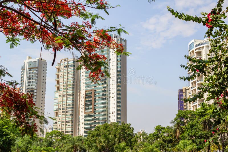 Some Residential Buildings between Trees. Stock Image - Image of ...