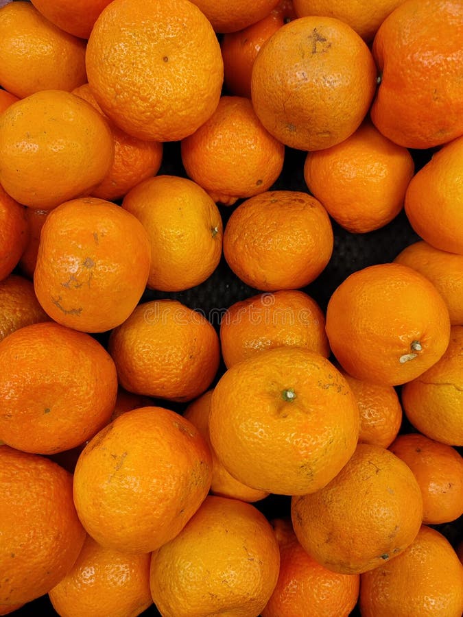 These are Some Ripe Oranges Which are Very Delicious To Make Juice ...