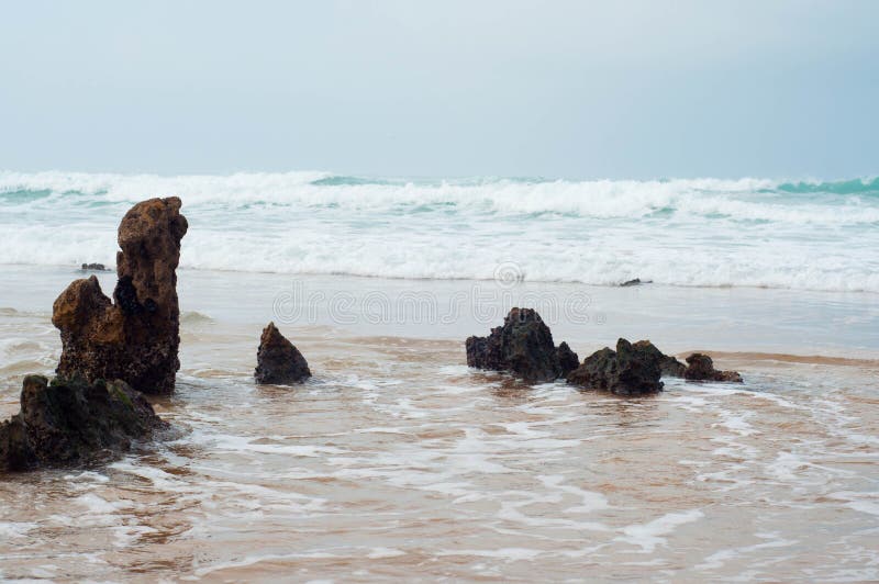 Some Rocks in the Beach Shore Stock Photo - Image of vacation, beach ...