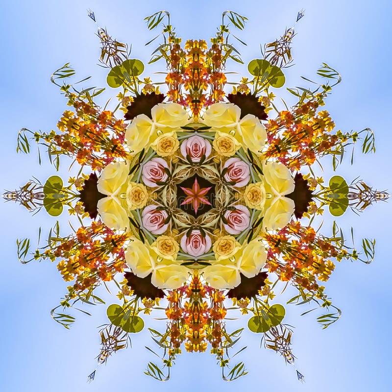 Some Roses Reflected Radially into Abstract Design Stock Illustration ...