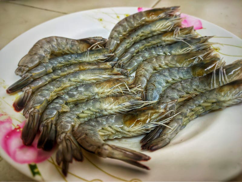 Some shrimp on a plate stock image. Image of plate, produce - 222008809