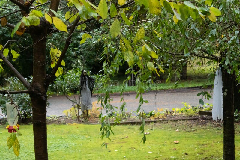 Small Halloween Decorations Hanging in a Tree Stock Photo - Image of ...