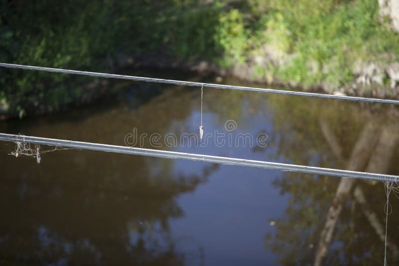 Some Spoon Lures Tangled at Electrical Wire Above the River Stock Photo ...