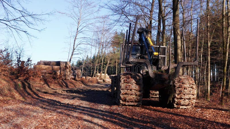 Stacks of Cut Down Trees Near a Modern Forest Machine Stock Footage ...