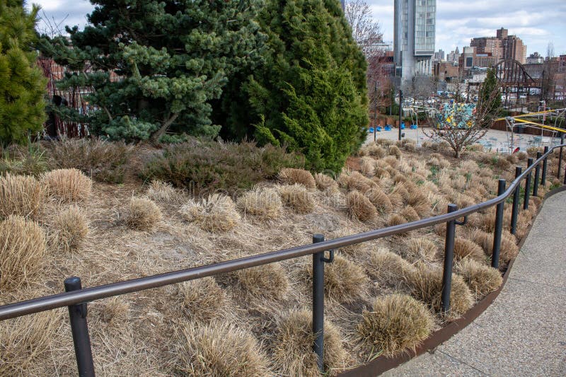 Stairs Ascending To Hill S Edge with Foreground Bushes Editorial ...