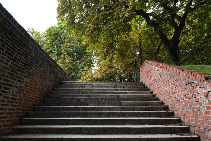 Too Many Steps in this Park! Stock Image - Image of natural, green ...