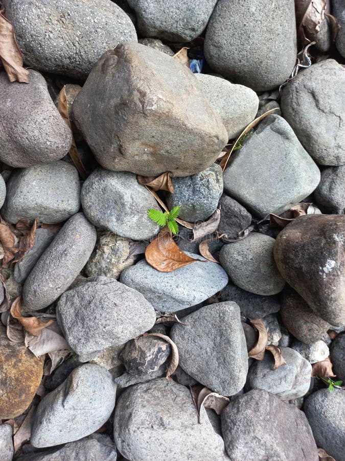 Some Stone and Rocks on the Same Place Stock Photo - Image of soil ...