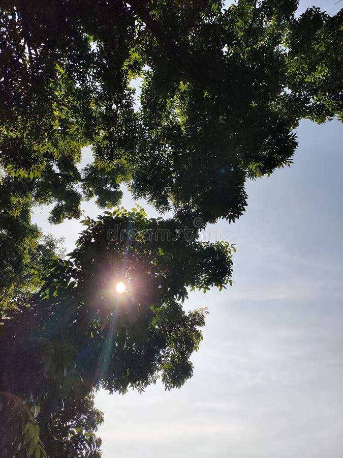 Some Things Never Changed Like the Sun Showering Me Stock Image - Image ...