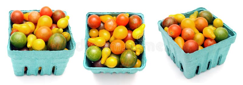 Some tomatoes stock image. Image of fresh, round, fruit - 27749565