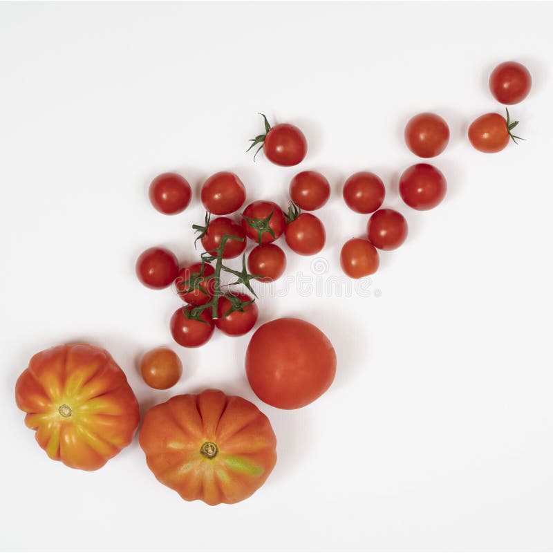 Some tomatoes stock photo. Image of delicious, lunch - 156677730
