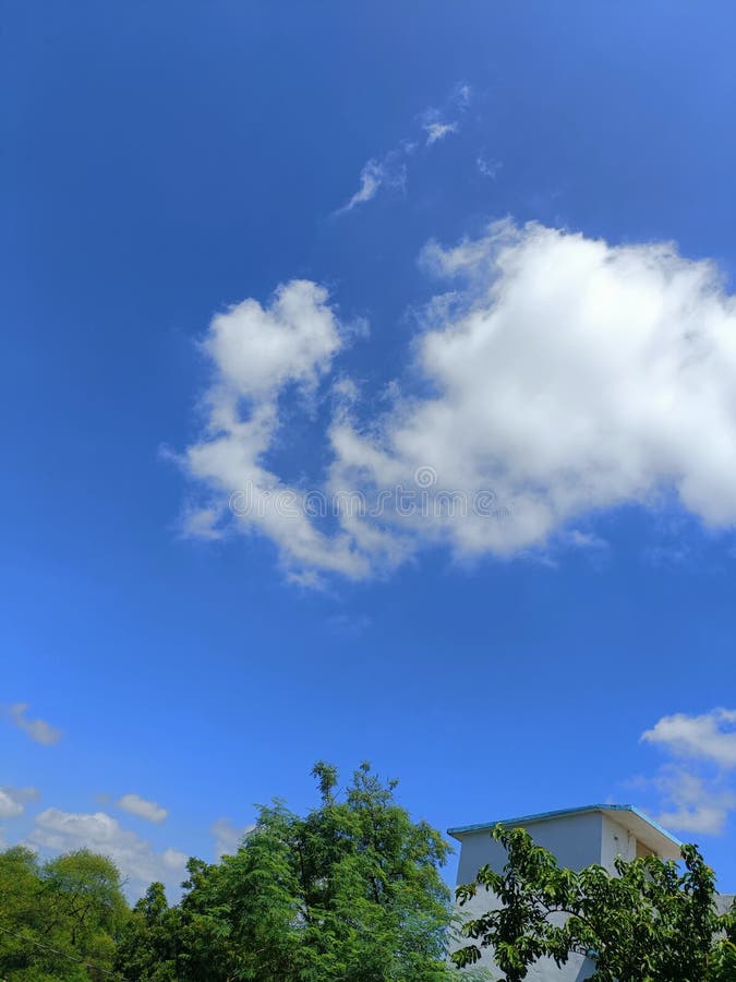Some Trees and Beautiful Blue Sky Stock Image - Image of tree ...