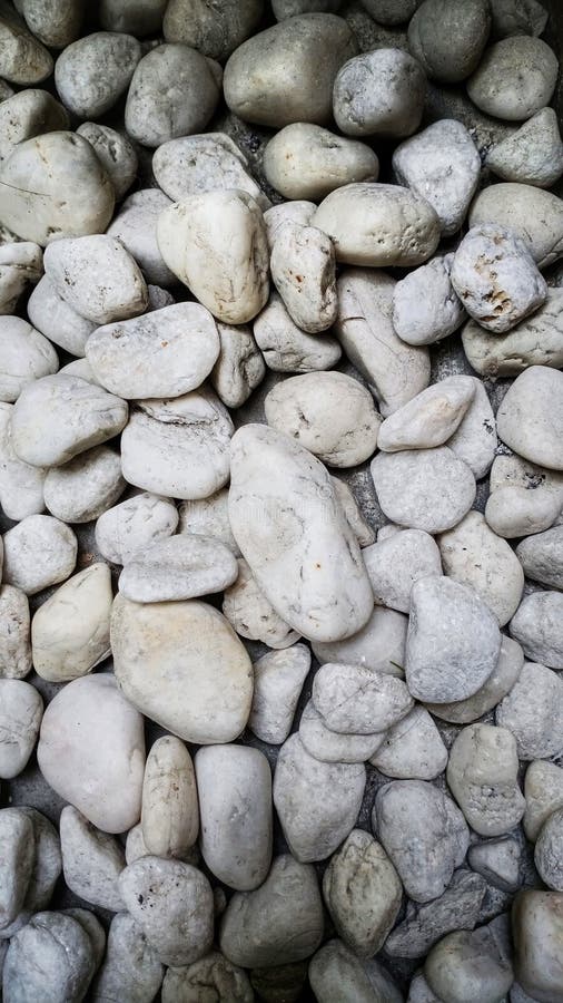 Some White Pumice in the Garden Stock Photo - Image of hous, garden ...