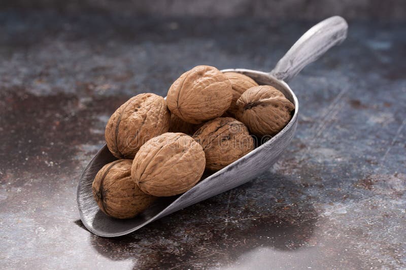 Whole Walnuts in a Kitchen Shovel Stock Image - Image of ingredient ...