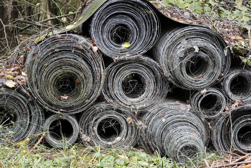Some Wire Rolls Deposited on a Forest Clearing Stock Image - Image of ...