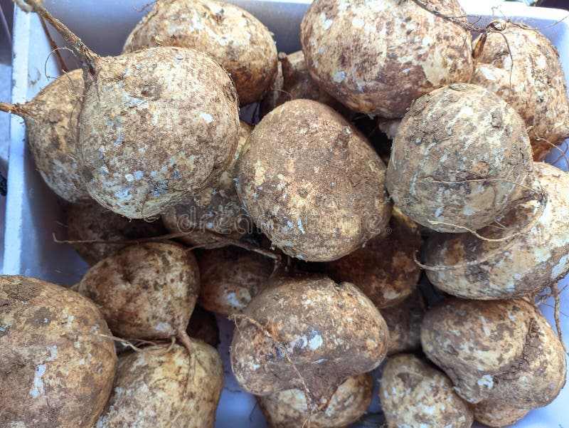 Some Yam Fruit that is Delicious and Good for Healthy Stock Photo ...