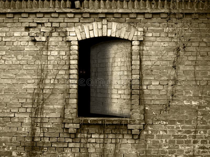 Somebody is there stock photo. Image of window, dark, nature - 1086530