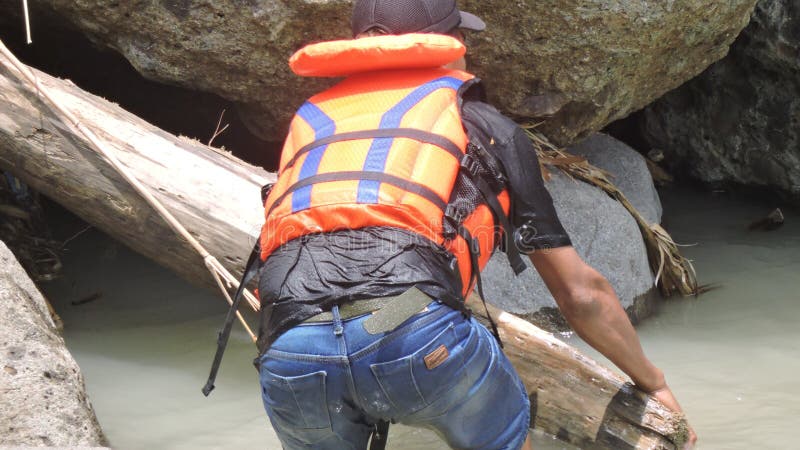 Someone is Lifting and Removing Tree Trunks Stock Photo - Image of ...