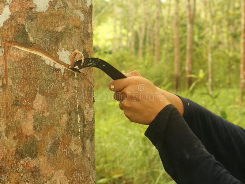 Someone Tapping Person Stock Photos - Free & Royalty-Free Stock Photos ...