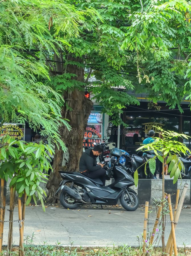 Someone is Resting Under a Shady Tree on the Side of Jalan Kusuma ...