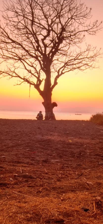 Someone Sitting Under a Tree Waiting for the Sun To Rise Stock Image ...