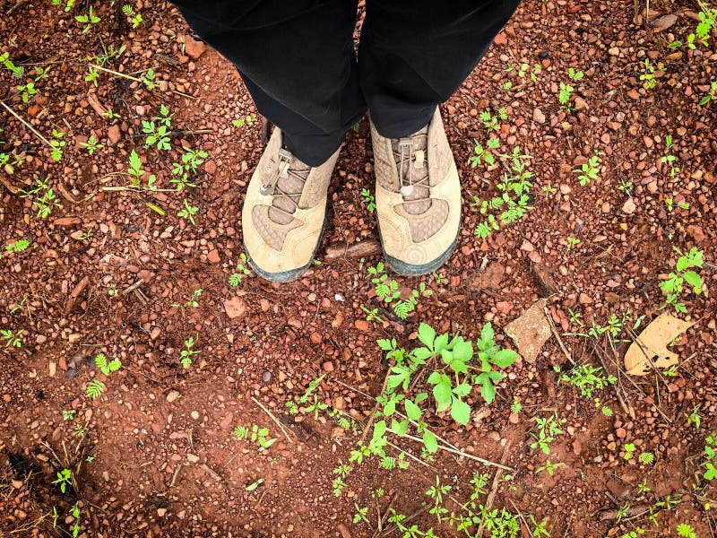 Someone Standing on the Land , Show Shoes and Legs Stock Image - Image ...