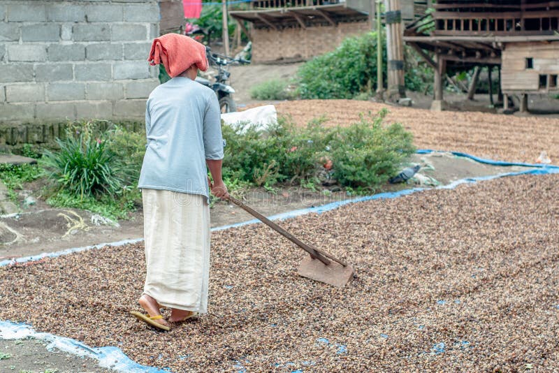 Traditional Sun Drying of Foods To Preserve Fish and Meats Stock Photo ...