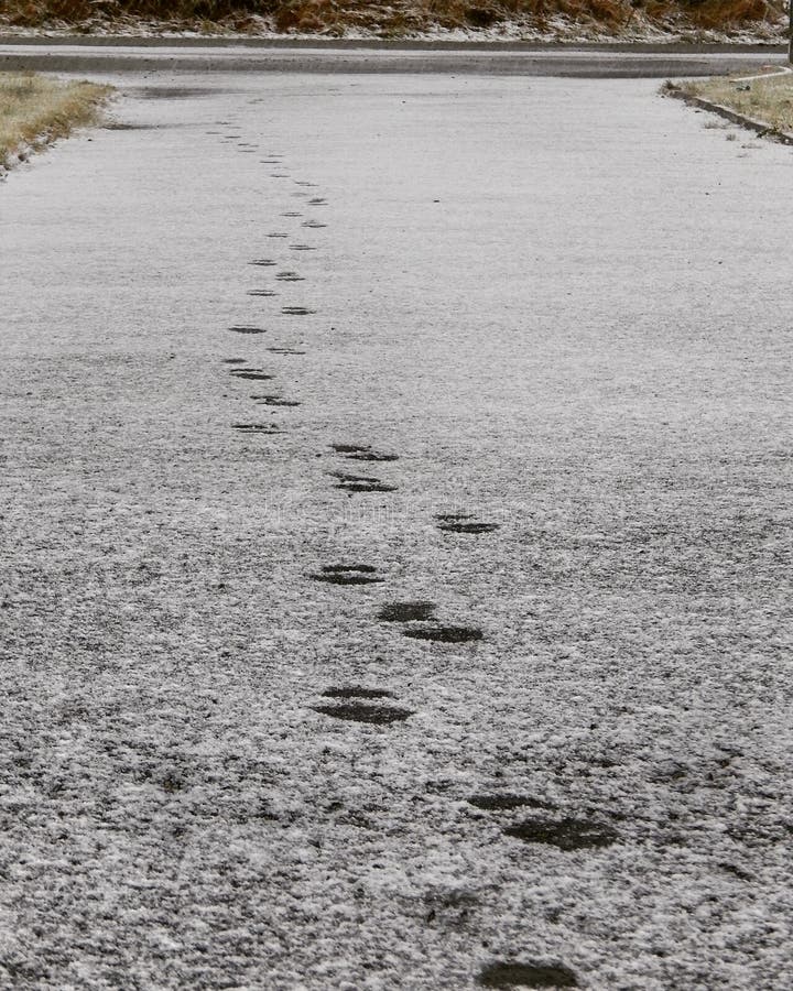 Footsteps on the Ground in the Snow Stock Image - Image of prints ...