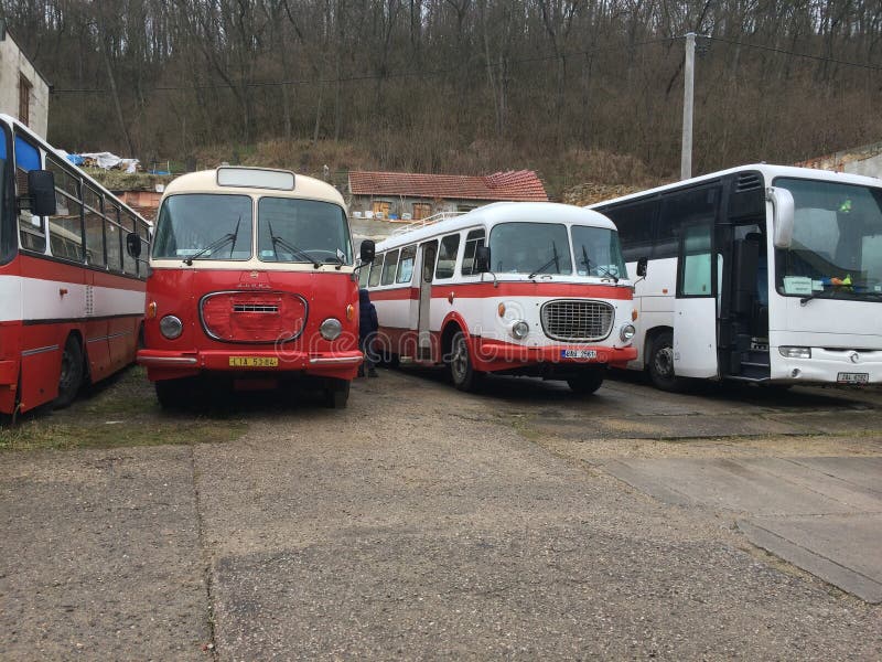 Something of Bus and One Special Car Editorial Stock Image - Image of ...