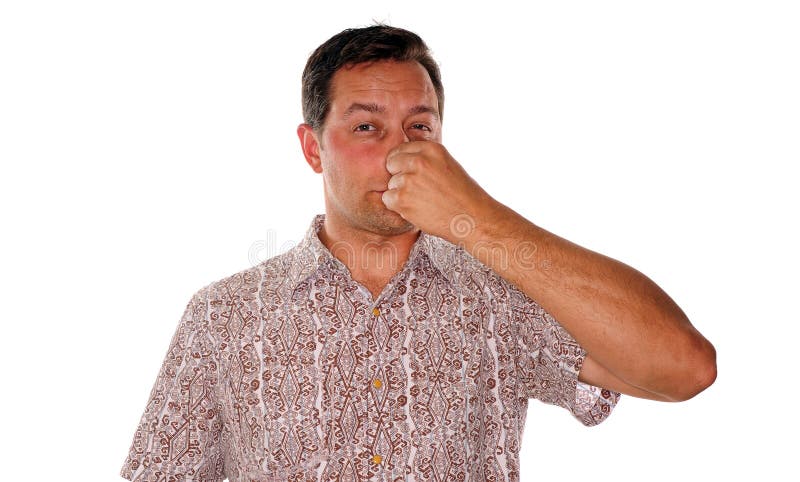 Friendly Lab stock image. Image of cuddle, comfort, friendship - 98843