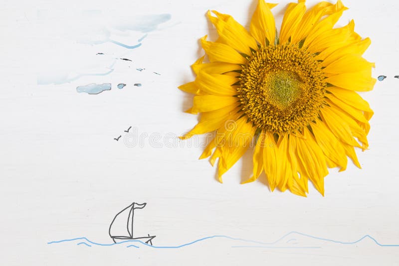 Sommarbegrepp, Solros - Sol Och Havet Med Yachten Fotografering för ...