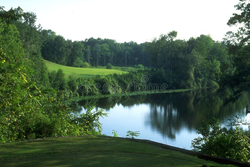 Sommarbilder arkivfoto. Bild av fält, vinkel, sikt, sport - 81586520