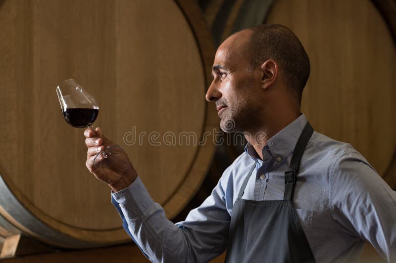 Sommelier checking wine stock photo. Image of cask, people - 89570570